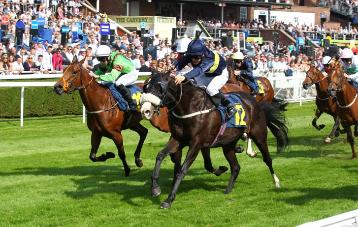 The Fascinating World of Thoroughbred Racing: A Comprehensive Guide ...
